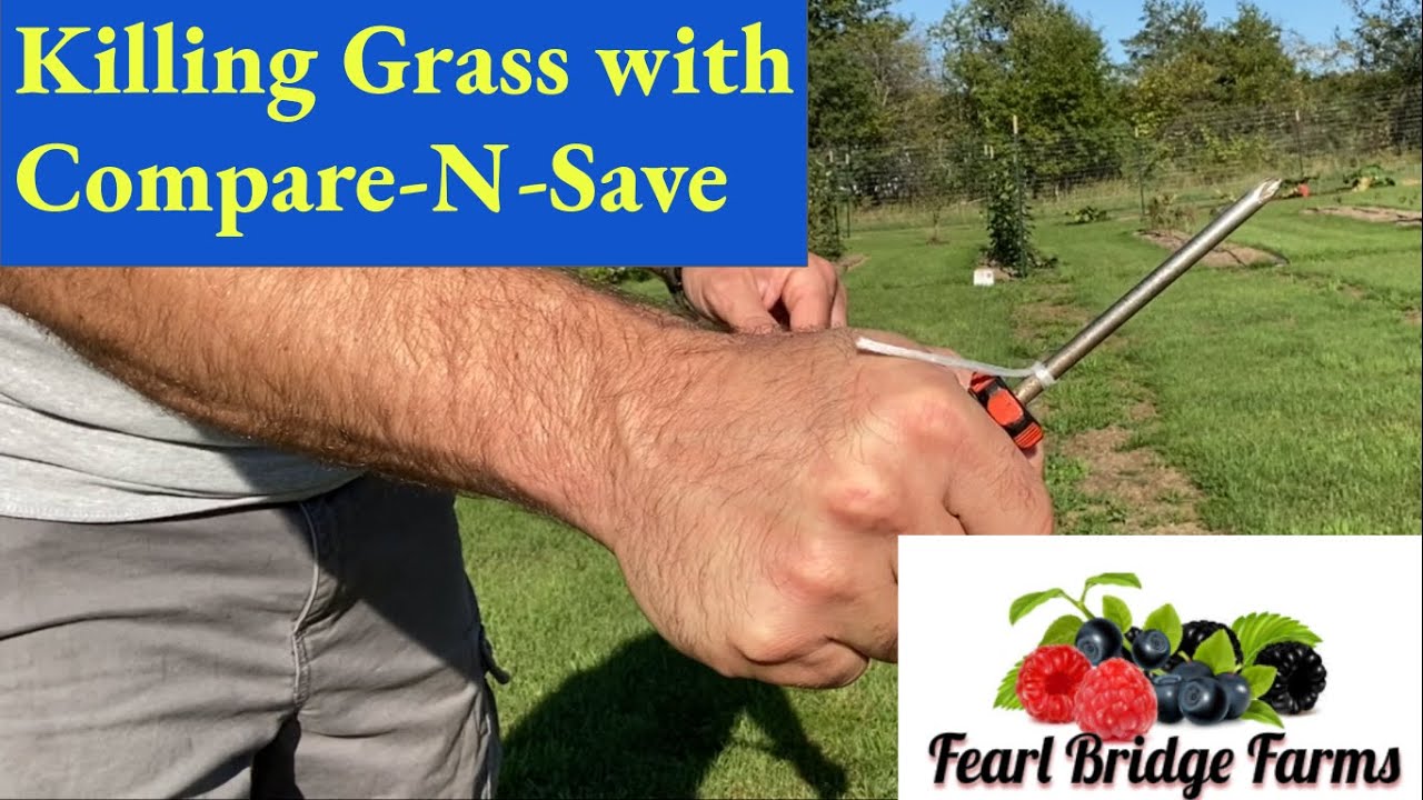 How to kill Grass using Compare N Save and Harbor Freight Backpack Sprayer
