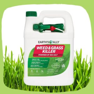 Sea Salt Powered Weed and Grass Killer - Earth Ally's New Product